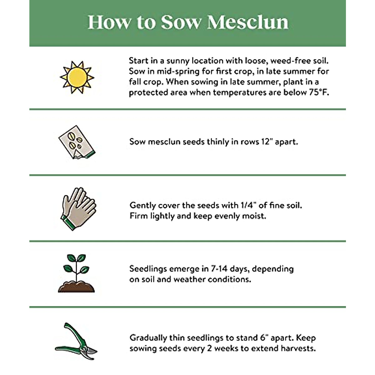 Burpee Sweet Salad Mix Mesclun Seeds 750 seeds