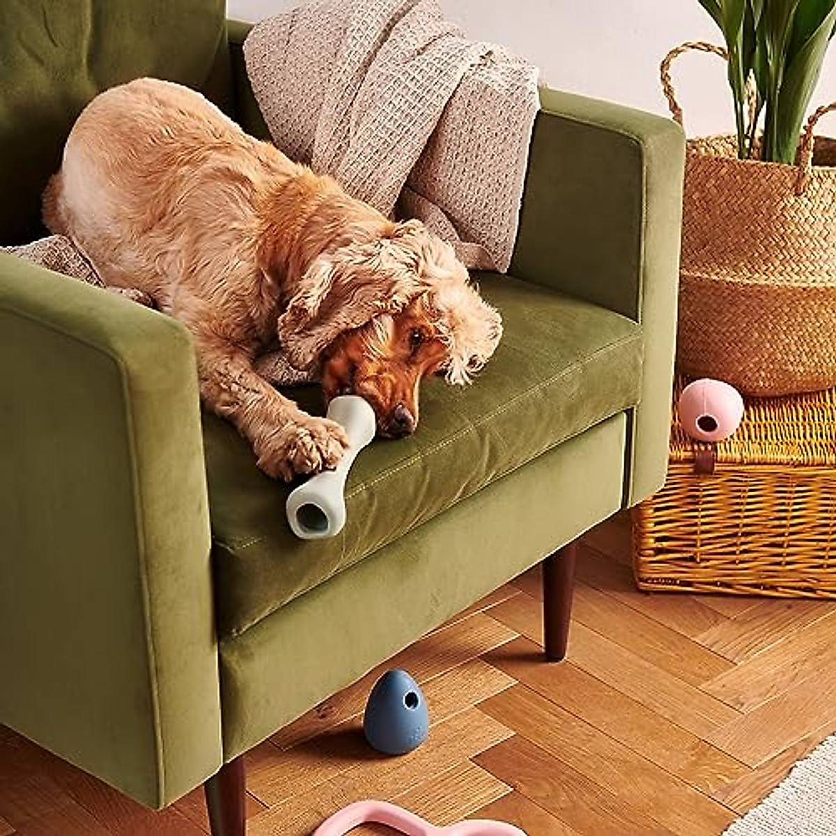 Beco Dog Toy - Natural Rubber Chew Bone Toy with Treat Hole - Green