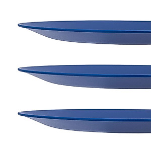 KX-WARE Plastic Plates Set of 12 - Unbreakable and Reusable 9.875 inches Dinner Plates, Multicolor | Dishwasher Safe, BPA Free