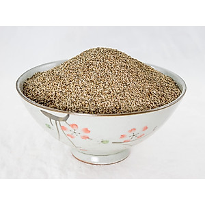 Calibonsai 1 Quart Fine Vermiculite for Seed Starting, Cuttings, Cactus & Succulent Soil Amendment, 1QFIVERMI