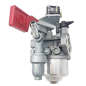 Realman 799060 84004885 Carburetor For Briggs & Stratton Snowblower Generator Engine 19H132 19H232 19H236 19H237 19H252 19L132 19L136 19L137 19L232 19L236 19L237 19L252