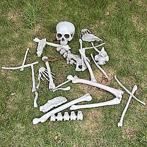 Halloween Skeleton Bones Realistic Looking Skulls Human Skeleton For Halloween Scary Graveyard Haunted House Lawn Yard Decorations(28 pieces）