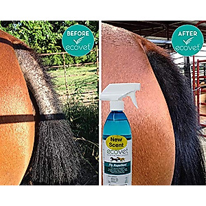 ECOVET Horse Fly Spray Repellent/Insecticide (Made with Food Grade Fatty acids), 18 oz