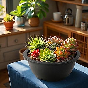 MUZHI 12 Pack Matte Finish Black Round Bonsai Bowl Planter Pot with Drainage, Plastic Garden Low Planter Pots 7.8"