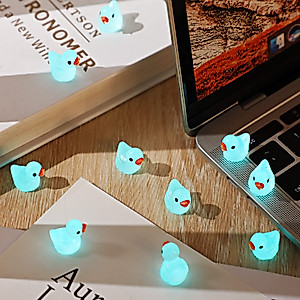 Tarpop 150 Pcs Luminous Tiny Ducks Mini Resin Ducks Miniature Duck Figures Micro Dollhouse Duck Accessories Landscape Gardening Decoration Ornaments (White)