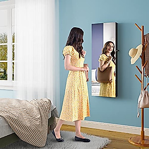 HNEBC Jewelry Organizer with 6 LED Lights, Jewelry Armoire with Mirror, Full Length Mirror Jewelry Cabinet with Jewelry Storage, Wall Mounted/Door Mounted (brown)