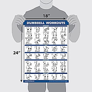 Palace Learning Dumbbell Workout Exercise Poster - Free Weight Body Building Guide | Home Gym Chart - LAMINATED, 18" x 24"