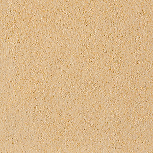 McCormick Onion Powder, 22 oz