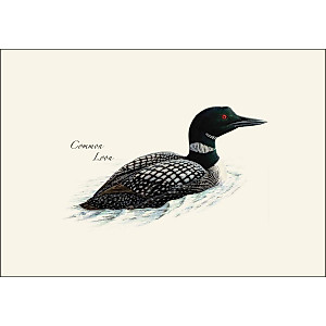 Earth Sky + Water - Loon Assortment Notecard Set - 8 Blank Cards with Envelopes (4 each of 2 styles)