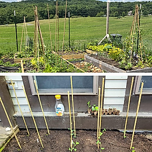 50Pcs Garden Stakes, 0.32”/16 Inch Bamboo Sticks，Natural Plant Stakes for Indoor and Outdoor Plants，Poles for Tomatoes, Beans, Potted Plants