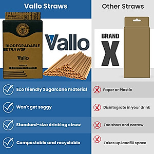 Vallo Compostable Drinking Straws - 100% Biodegradable, Recyclable, Non-Soggy, Suitable for Hot and Cold Drinks, Eco-friendly Sugarcane Material, NOT Paper, 8" Standard Size - 100 Count