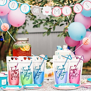 36 Pcs Gender Reveal Drink Pouch Cups with Straws Plastic Stand up Drink Pouch Bags Hand Held Translucent Reclosable Zipper Juice Pouches Team Boy Team Girl Gender Reveal Party, Pink and Blue, 17 oz