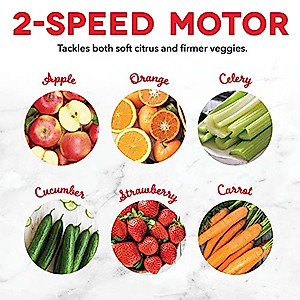 Dash Compact Centrifugal Juicer, Press Juicing Machine, 2-Speed, 2" Wide Feed Chute for Whole Fruit Vegetable, Anti-drip, Stainless Steel Sieve - Cool Grey