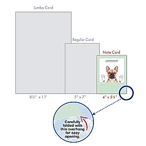 The Best Card Company - 20 Boxed Dog Cards with Envelopes (4 x 5.12 Inch) - Blank Assortment (10 Designs, 2 Each) - Dogs & Doodles AM6582OCB-B2x10