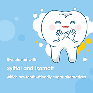 DC24 DAILY CARE Sugar Free Lollipops with Vitamin C, Healthy Suckers with Xylitol, Assorted Fruit Flavored Hard Candy for Kids, Non-GMO, Gluten Free, 24 Count