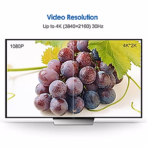 Rankie Mini HDMI to HDMI Cable, High Speed Supports Ethernet 3D and Audio Return (6 Feet)