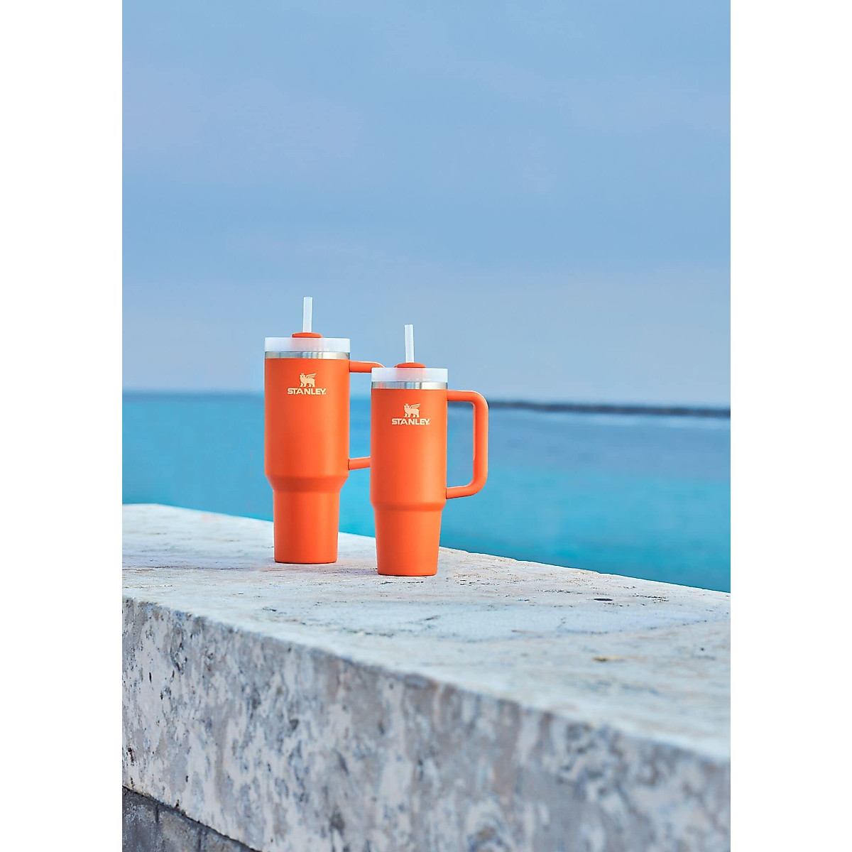 Stanley Quencher H2.0 FlowState Stainless Steel Vacuum Insulated Tumbler with Lid and Straw for Water, Iced Tea or Coffee, Smoothie and More, Tigerlily, 30 oz