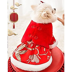 JYDQM Tang Suit Coat Dog Clothes Jacket for Dogs Clothing Pet Outfits Small Cute Winter Warm (Color : Red, Size : M Code)