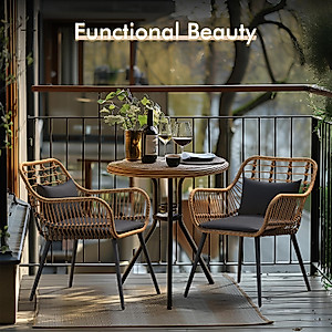 JOIVI Outdoor Patio Wicker Chairs Set of 2, Rattan Dining Chairs with Cushion and Armrest, Porch Chairs Outdoor Seating with Iron Frame, Balcony Furniture for Apartments, Lawn, Backyard, Garden, Black