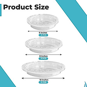 DripFlex 15 Pcs Clear Plant Saucers for Indoors (6,8,10) Inch + 1 Squeeze Succulent Watering Bottle(500ml), Plant Trays for Pots - Clear Round Sturdy Plastic Plant Trays for Indoors No Holes