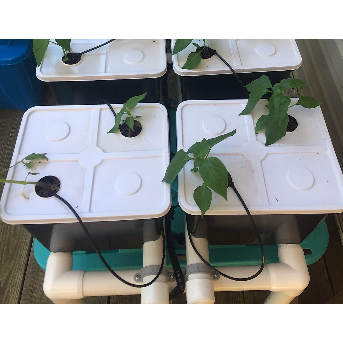 Dutch Bucket Lid, Hydroponic, 2 x 1-3/4" Holes, 12" x 10", White - 10 Pack