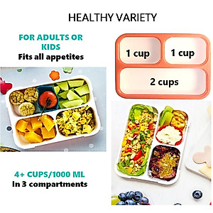 Pink + Coral Bento Lunch Boxes for School or Work, Kids and Adults Bundle of 3