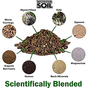 WONDER SOIL | Organic Cactus & Succulent Soil (12 Quarts). Fast Draining Ready to Plant Coco Coir Loaded w/Nutrients | 3 LBS Expands to 12 Quarts | Incl Worm Castings & Nutrients