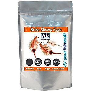 Brine Shrimp Eggs 50 Gramm (Artemia Cysts) of 90% Hatch Rate Fish Food