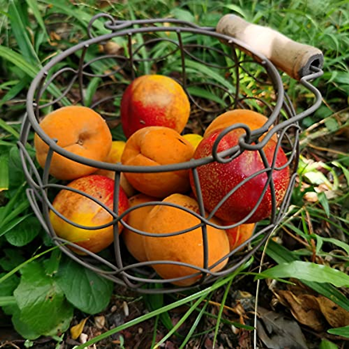 Metal Wire Egg Baskets for Collect Fresh Egg Baskets Countertop Holder, LINCOUNTRY Rustic Round Small Chicken Basket Gathering Fresh Egg With Handle,Country Primitive Farmhouse Vintage Storage Gift