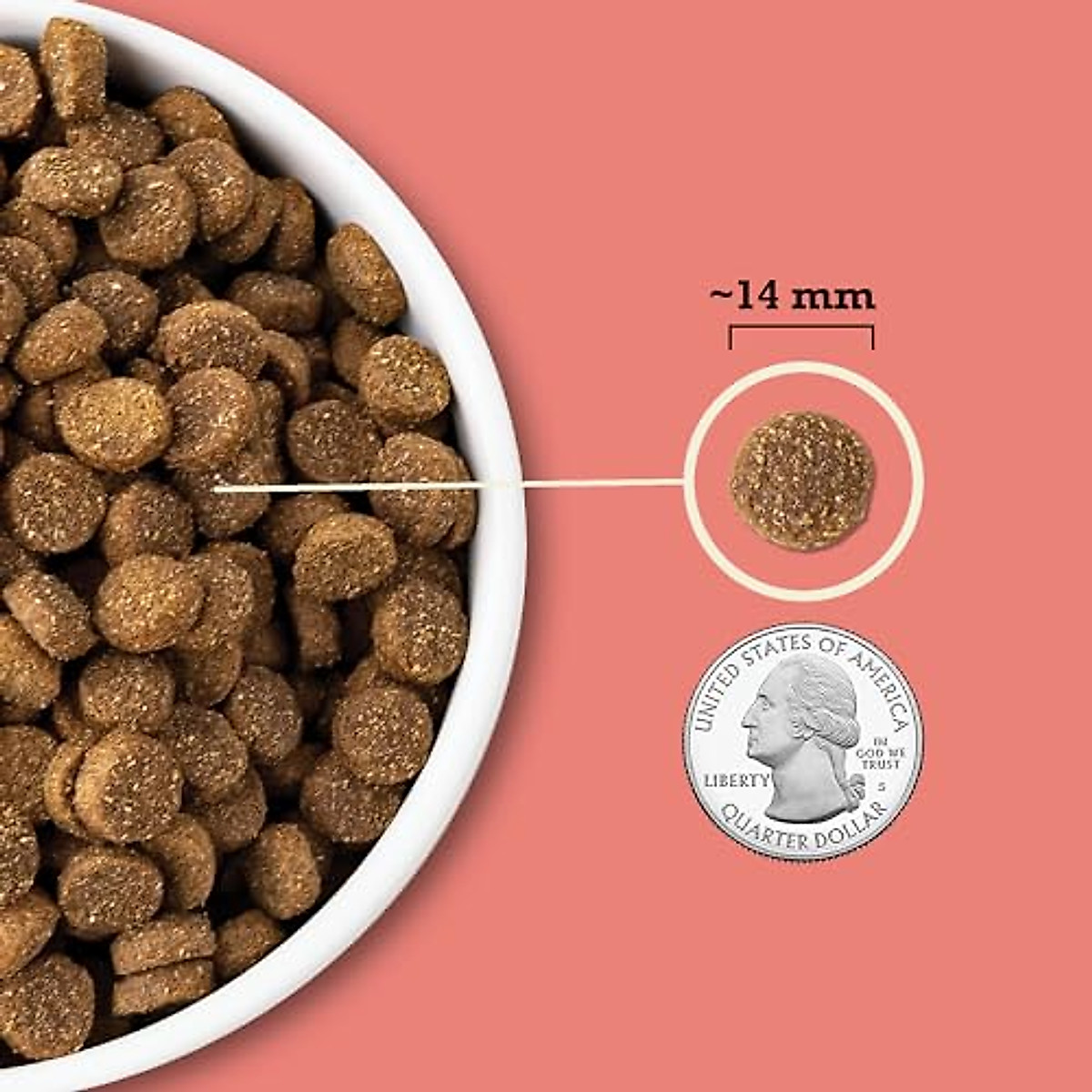 ACANA Wholesome Grains Dry Dog Food, Red Meat and Grains, Gluten Free, Beef, Pork, and Lamb Recipe, 4lb