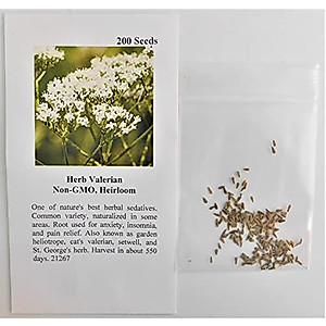 David's Garden Seeds Herb Valerian 9899 (White) 200 Non-GMO, Heirloom Seeds
