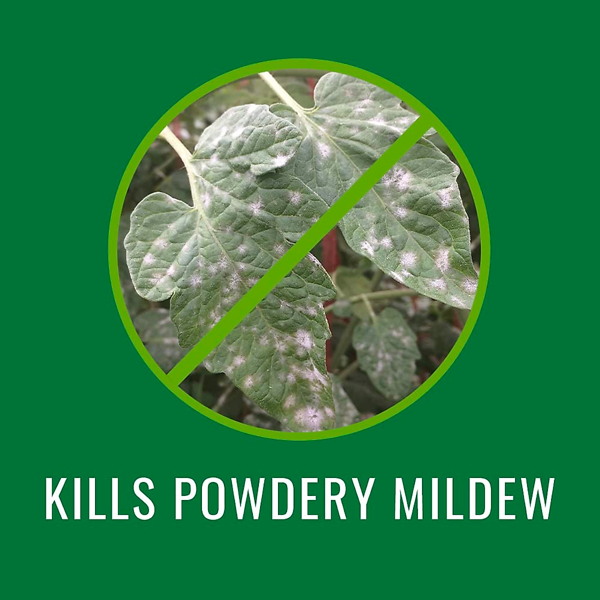 Natria Tomato, Vegetable & Fruit Insect Control, Ready-to-Use, 24 oz