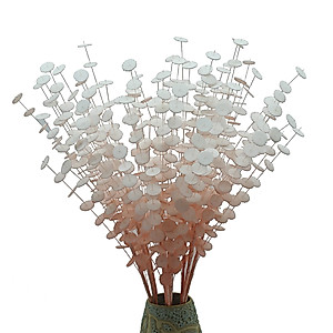 27 inches 3 Bundle Soft Pink Bundle Fake Silver Dollar Eucalyptus Stems Indoor Garden Home Office Decoration
