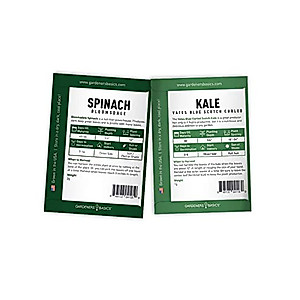 Lettuce and Greens Heirloom Vegetable Seed Non-GMO Seeds for Planting Indoors and Outdoor 5 Packs - Lettuce Buttercrunch, Romaine, Arugula, Kale and Spinach by Gardeners Basics