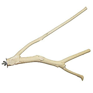 Multi-Branch Perch (Large) - Durable Natural Climbing Branch Perch Cage Accessory - Sugar Gliders, Squirrels, Prairie Dogs, Degus, Marmosets, Monkeys, Parrots, Birds, Rats, Reptiles, Amphibians