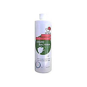 Snout & Shell Liquid Aquarium Cleaner for Turtles - Concentrated Bottle Treats 960 Gallons - Reduce Tank Maintenance & Improve Water Safety, 16 Oz
