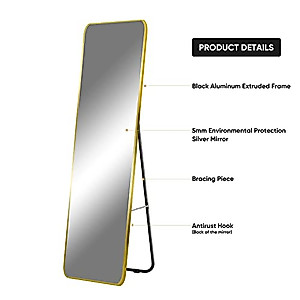 SNUGACE Full Length Mirror, Gold Frame Free Standing Mirror for Bedroom Dressing Mirror, 65 * 20IN