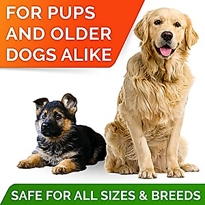 Fish Oil Omega 3 Treats for Dogs - Allergy and Itch Relief - Skin and Coat Supplement - Joint Health - Wild Alaskan Salmon Oil - Shedding, Itchy Skin Relief - Omega 3 6 9 - EPA & DHA - 180 Treats