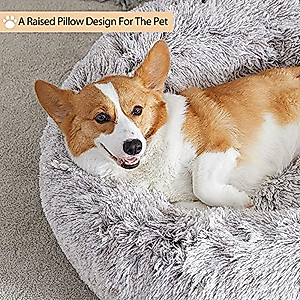 WNPETHOME Calming Dog Bed & Cat Bed,Small Dog Bed Donut Design Faux Fur Anti-Anxiety Dog Bed,Fluffy Pet Cushion Dog Bed for Small Dogs and Cats (20 x 20 inch, Light Coffee)