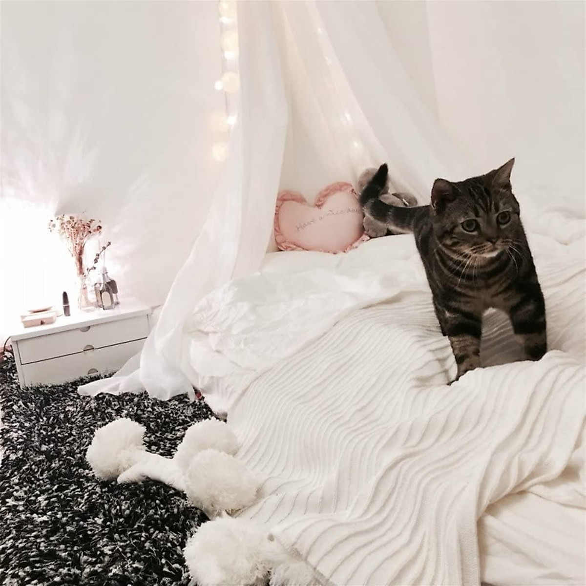 Indoor LED Fairy Lights, Battery Powered Warm White Decoration Cotton Ball Night light For Party Wedding Garden Home Patio Lawn Kids Bedroom Holiday Valentine's Day Decor Garden School kindergarten de