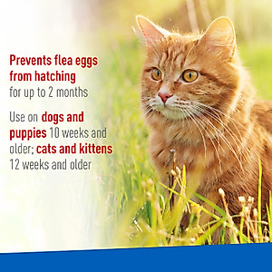 Adams Flea & Tick Spray For Dogs and Cats | Kills Fleas and Ticks Through Contact, Kills Flea Eggs, Flea Larvae, and Prevents Flea Egg Hatch | Controls Flea Reinfestation For Up To 2 Months | 16 Oz