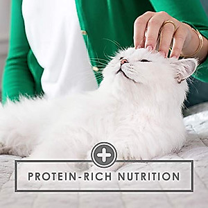 Purina Fancy Feast Grilled Collection Wet Cat Food Variety Packs | Premium Pack