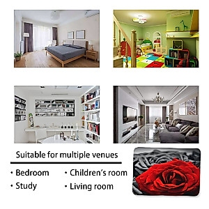 LUCKYYOUGAN Large Farmhouse Rug for Farmhouse Decor,Romantic Rose Black and White red Painting Abstract Living Room Mat Bedroom Area Rugs Home Decor Non-Slip Crystal Floor Polyester Mat 35.4x23.9inch