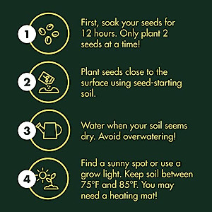 Pepper Seeds for Garden Planting - 8 Non-GMO Heirloom Pepper Seed Packets, Wood Gift Box & Plant Markers, DIY Home Gardening Gifts for Plant Lovers