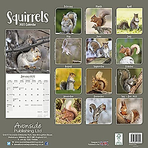 Squirrel Calendar - Cute Animal Calendar - Calendars 2022 - 2023 Wall Calendars - Animal Calendar - Squirrels 16 Month Wall Calendar by Avonside