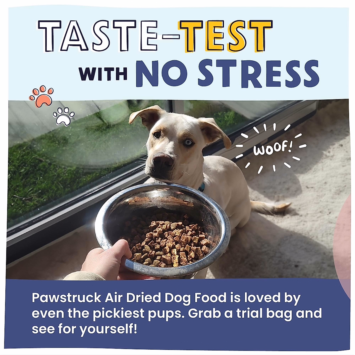 Pawstruck All Natural Air Dried Dog Food with Real Beef, Grain Free, Made in USA, Non-GMO, Vet Recommended, High Protein Limited Ingredient Full-Feed, All Breeds & Ages, 2.5oz Trial Bag