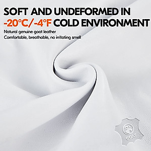 Vgo... High Dexterity Goatskin Leather Winter Warm Ski Gloves Waterproof Insert, Touchscreen, Cold Storage Work Gloves, G200 Thinsulate, (1 Pair,L, GA8435FW)