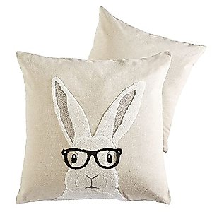 RAZ Imports Home to Roost Rabbit with Glasses Cream Color Pillow 18 Inch