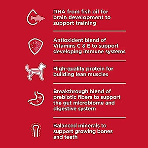 Hill's Science Diet Wet Dog Food, Puppy, Chicken & Barley Recipe, 13 oz. Cans, 12-Pack