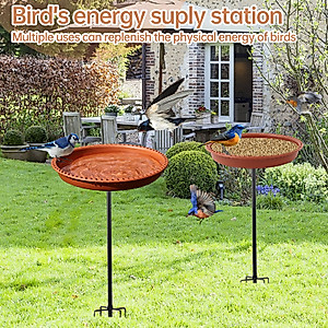 Feemiyo Upgraded Bird Bath for Hummingbirds,Detachable Stable Stylish Design with 5-Prong Base Metal Stake Bird Baths for Lawn Patio Yard Garden(Gift)